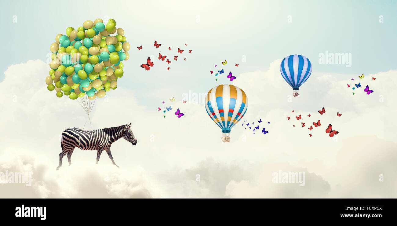 Fantasy image of zebra flying in sky on aerostat Stock Photo - Alamy