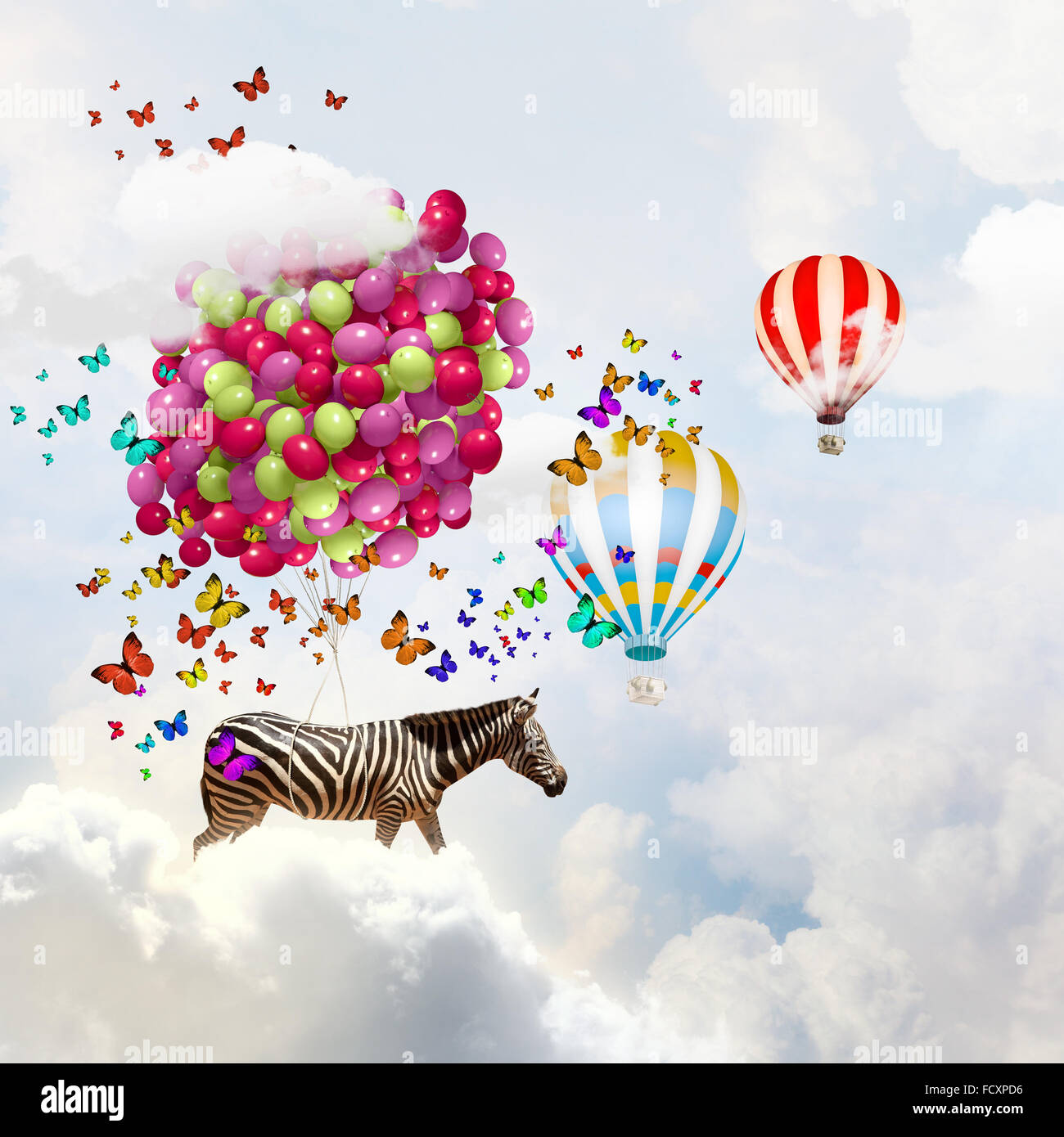 Fantasy image of zebra flying in sky on aerostat Stock Photo - Alamy