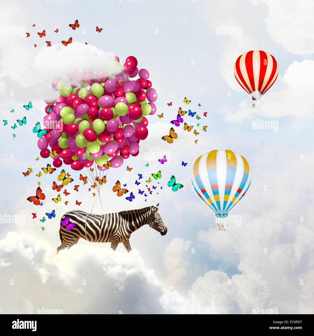 Fantasy image of zebra flying in sky on aerostat Stock Photo - Alamy