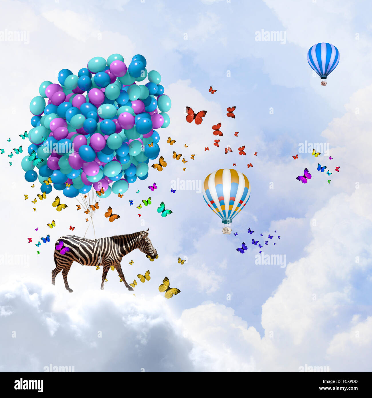 Fantasy image of zebra flying in sky on aerostat Stock Photo - Alamy