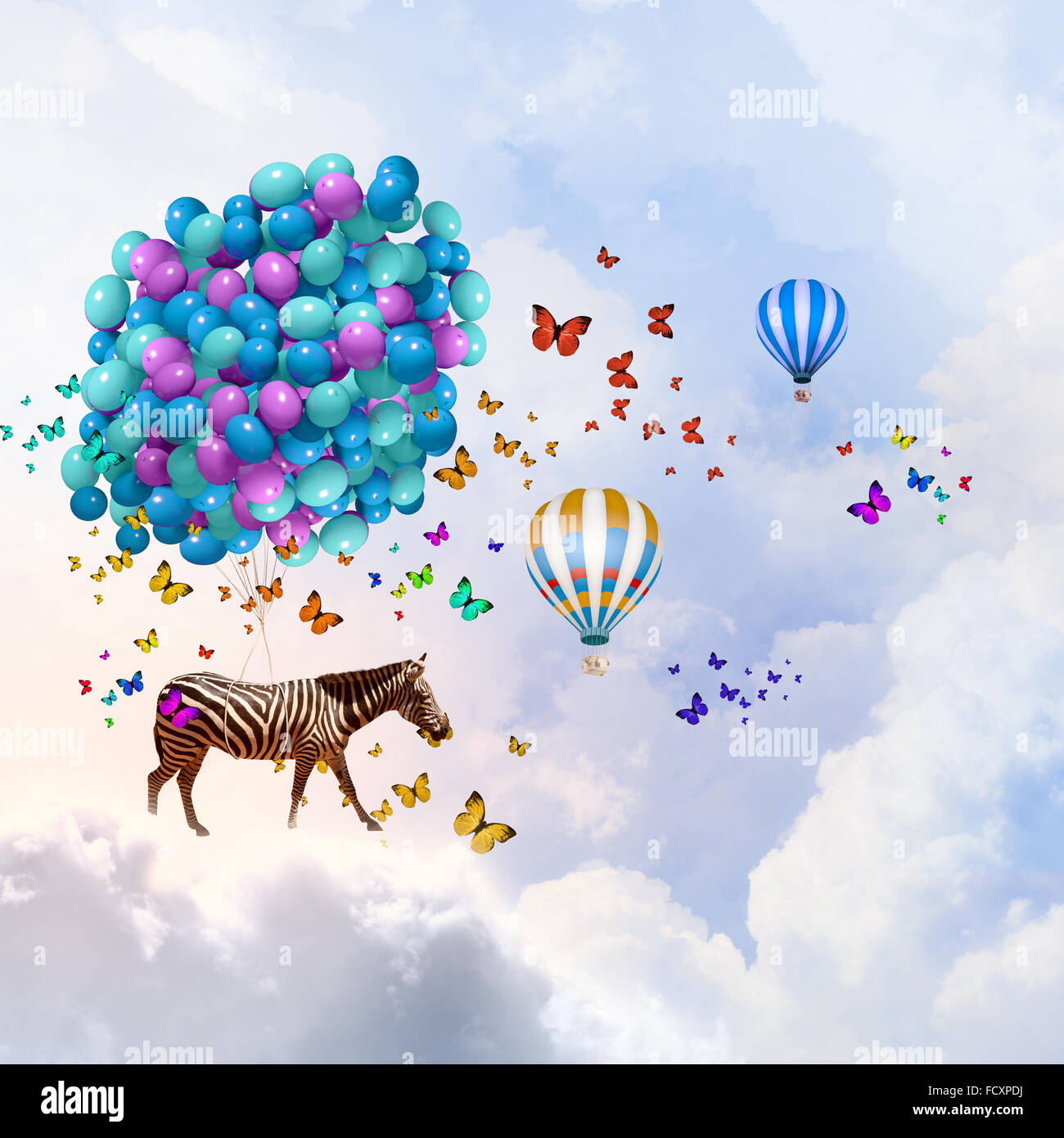 Fantasy image of zebra flying in sky on aerostat Stock Photo - Alamy
