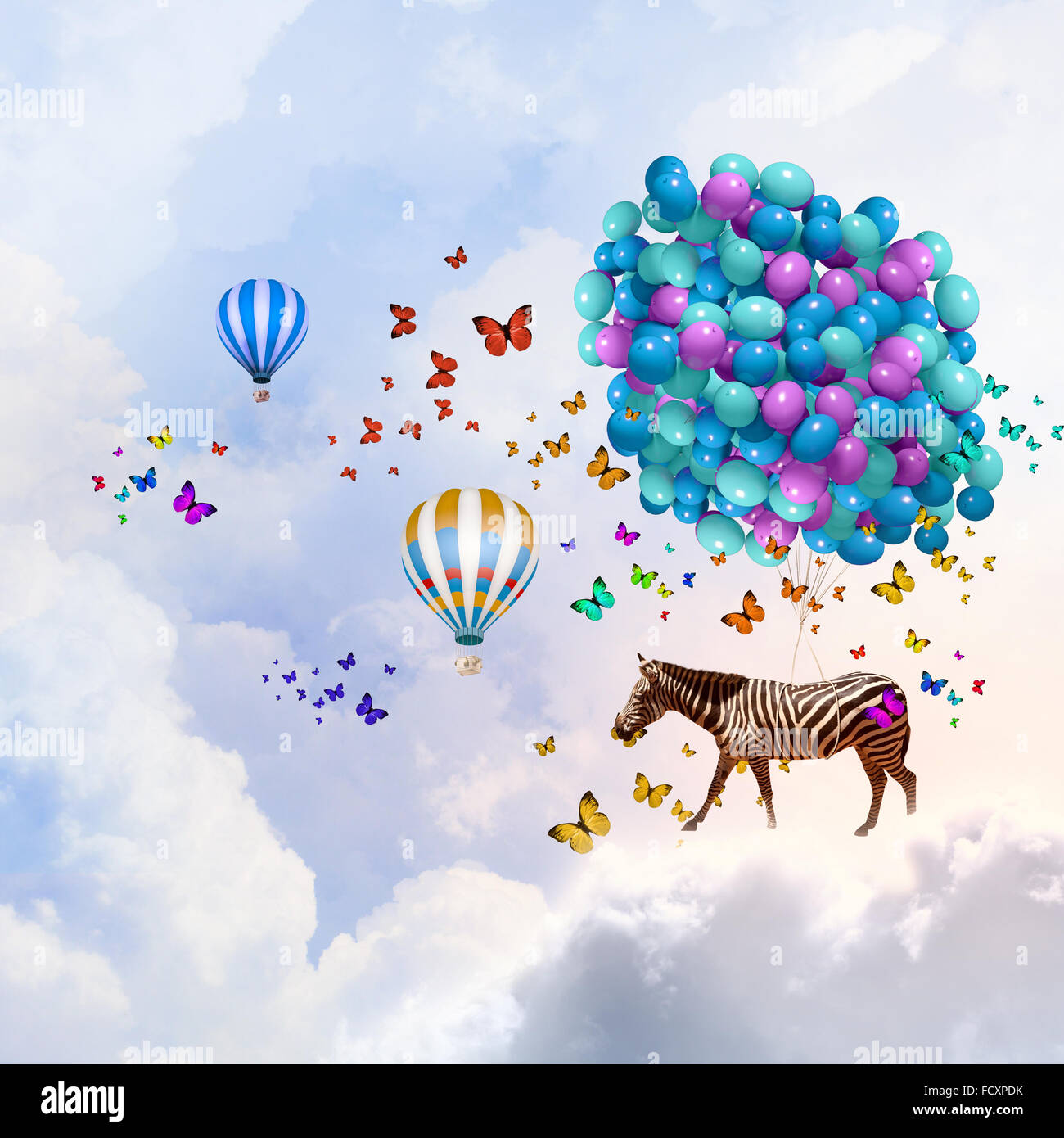 Fantasy image of zebra flying in sky on aerostat Stock Photo - Alamy