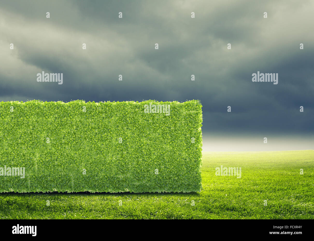 Conceptual image of green plant. Protect our planet Stock Photo - Alamy