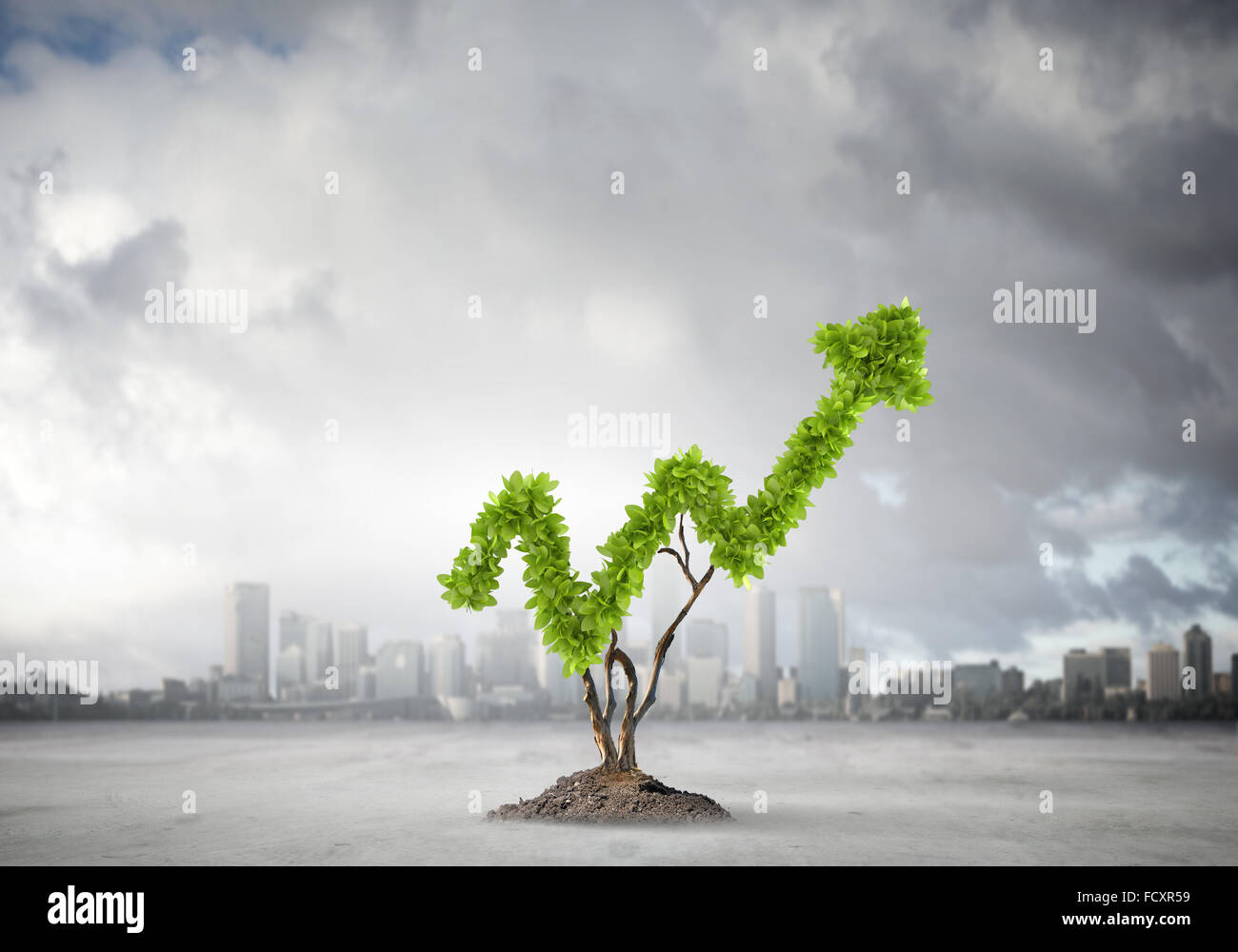 Plant in shape of graph against white background Stock Photo - Alamy