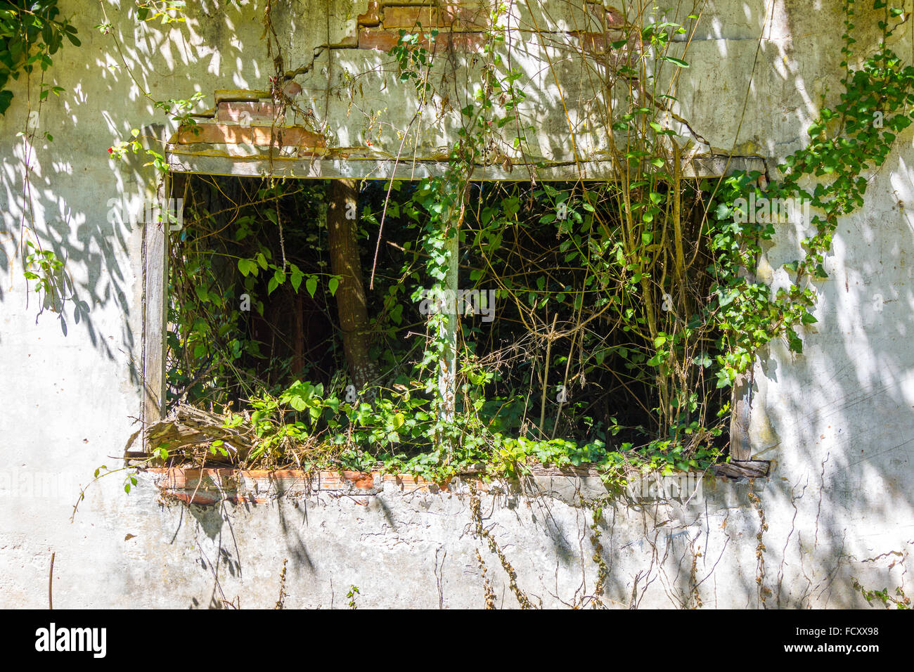 window in a house in ruins Stock Photo - Alamy