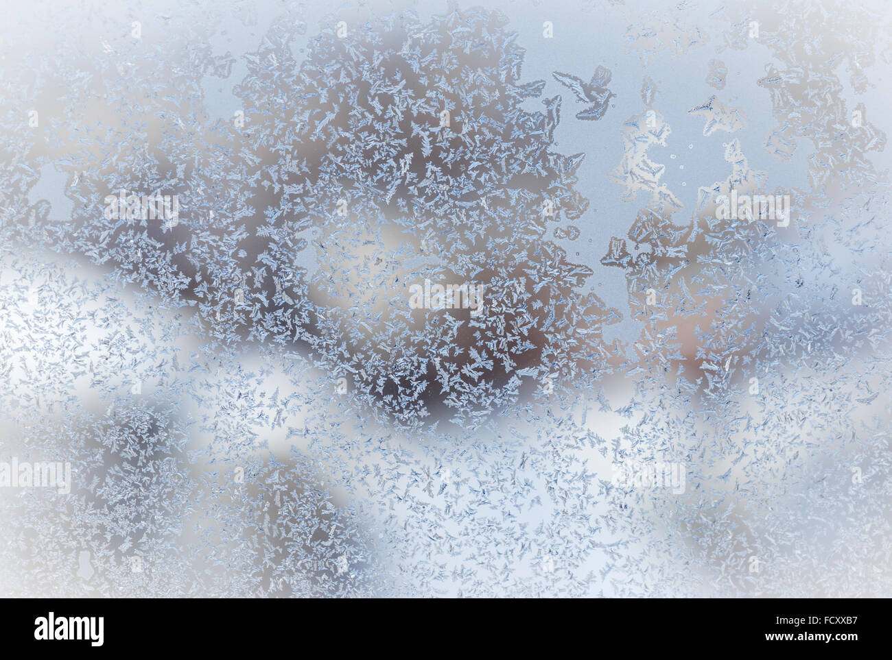 close up of snow and frost on window Stock Photo - Alamy