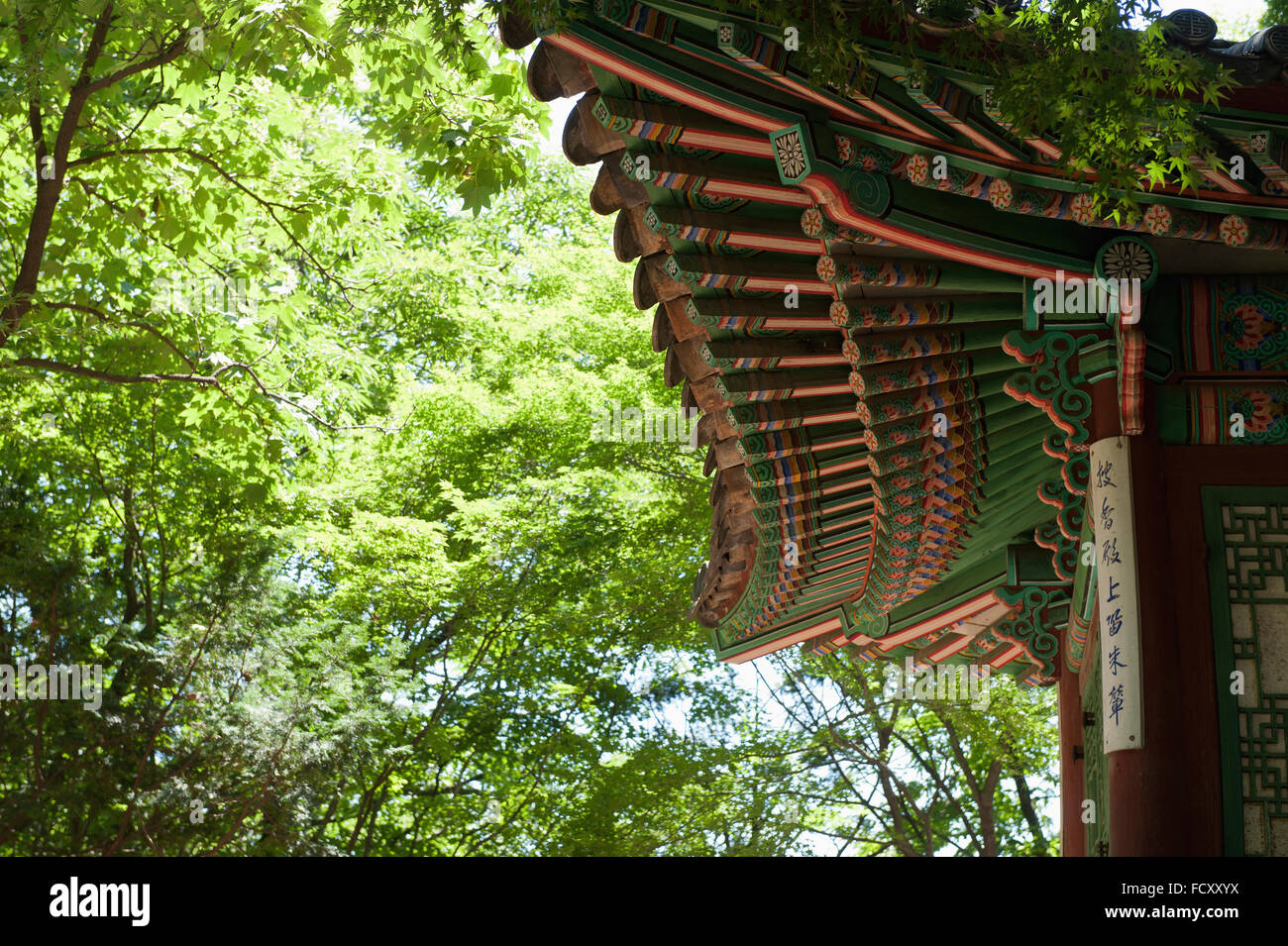Traditional Korean danchoeng at old structure Stock Photo - Alamy