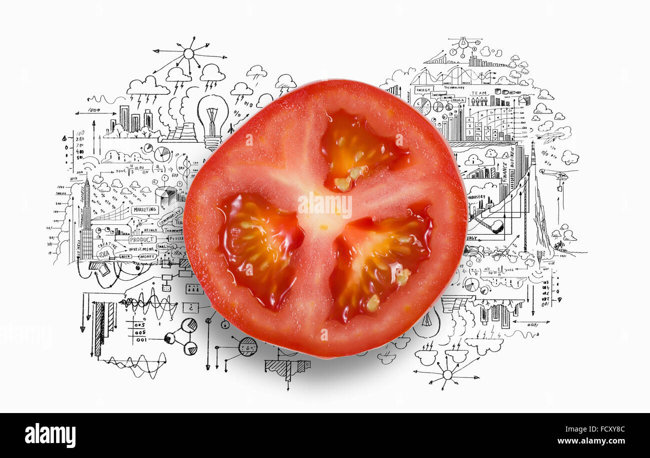 Tomato half against background with business sketches Stock Photo - Alamy