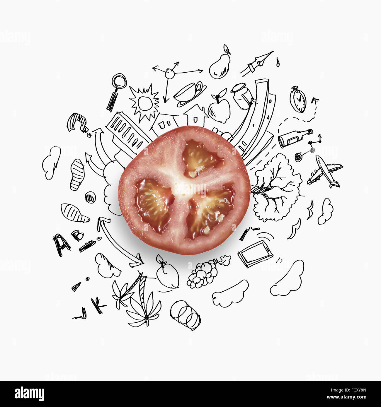 Tomato half against background with business sketches Stock Photo - Alamy
