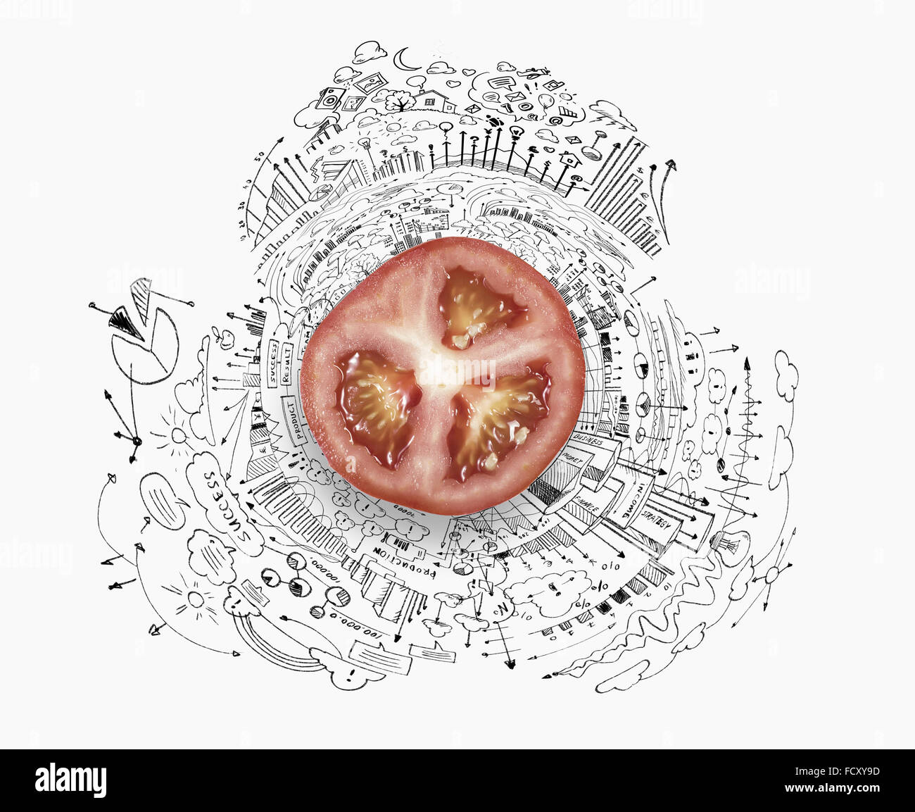 Tomato half against background with business sketches Stock Photo - Alamy