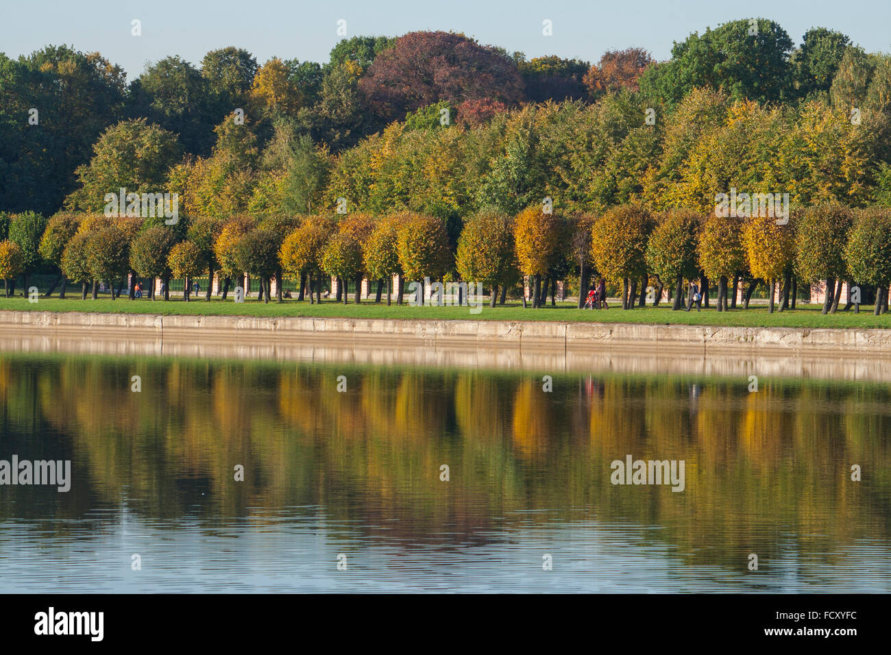 Trees on Kuskovo Estate, Moscow, Russia Stock Photo - Alamy