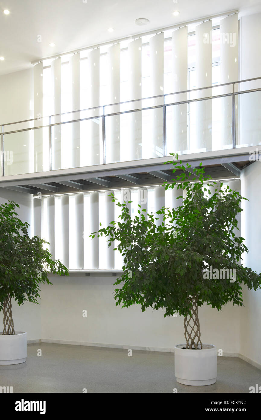 Interior corridor with plants and white light. Vertical Stock Photo - Alamy