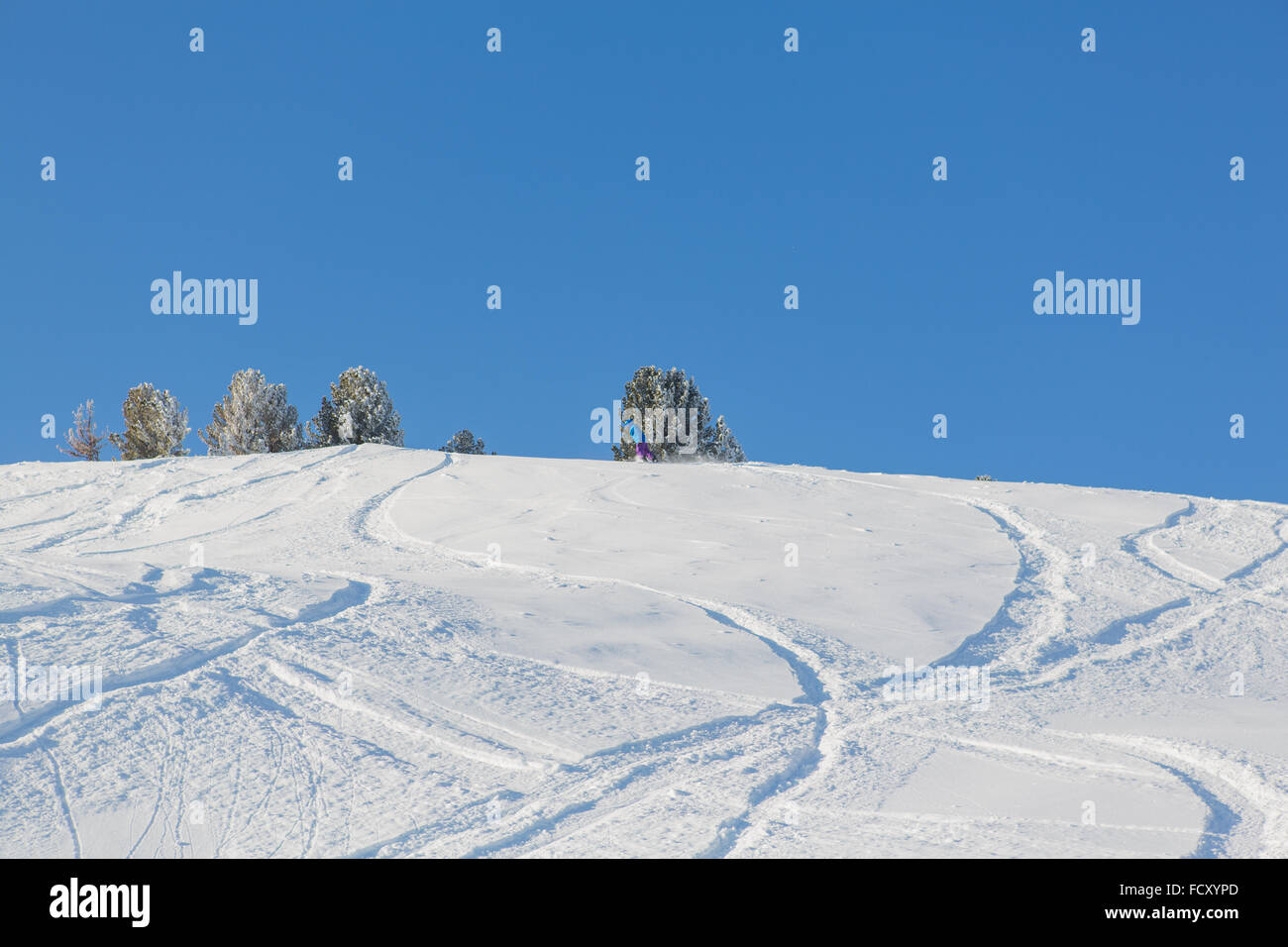 Fresh ski tracks in powder snow Stock Photo - Alamy