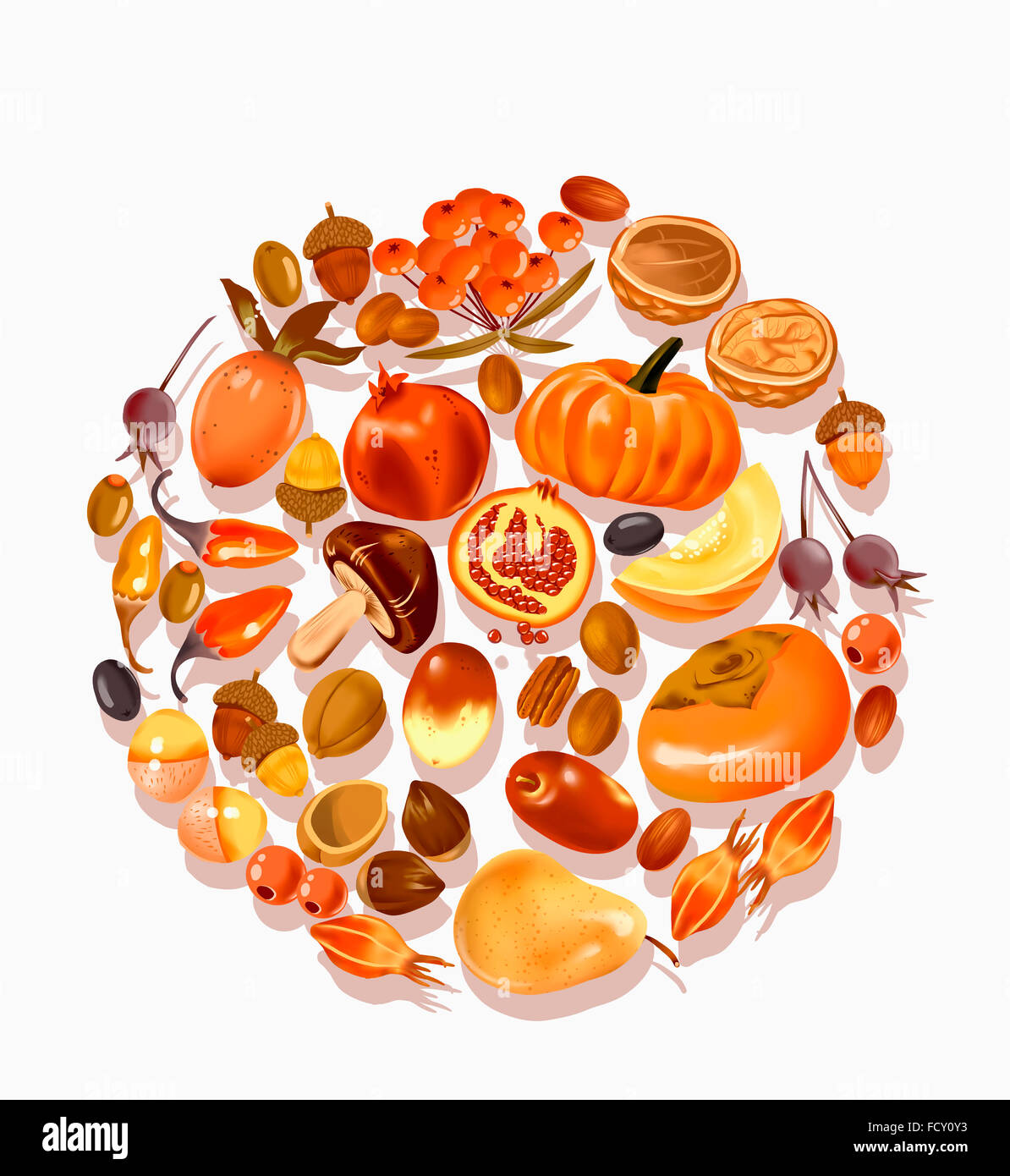 Collection of fall related images in illustration Stock Photo - Alamy