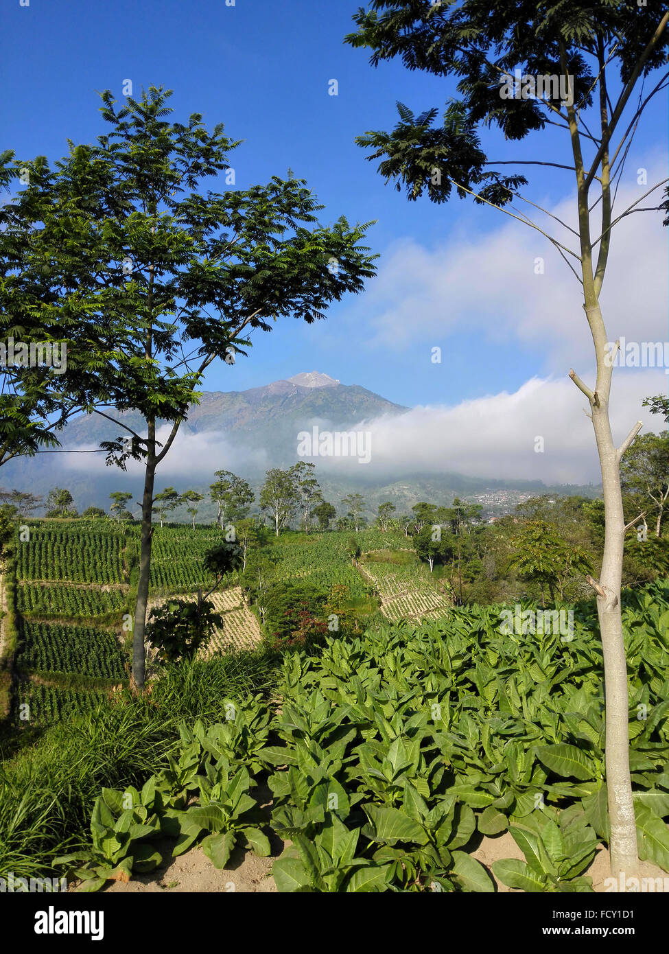 Indonesia Central Java Mount Merapi seen from the Ketep Pass Adrian ...