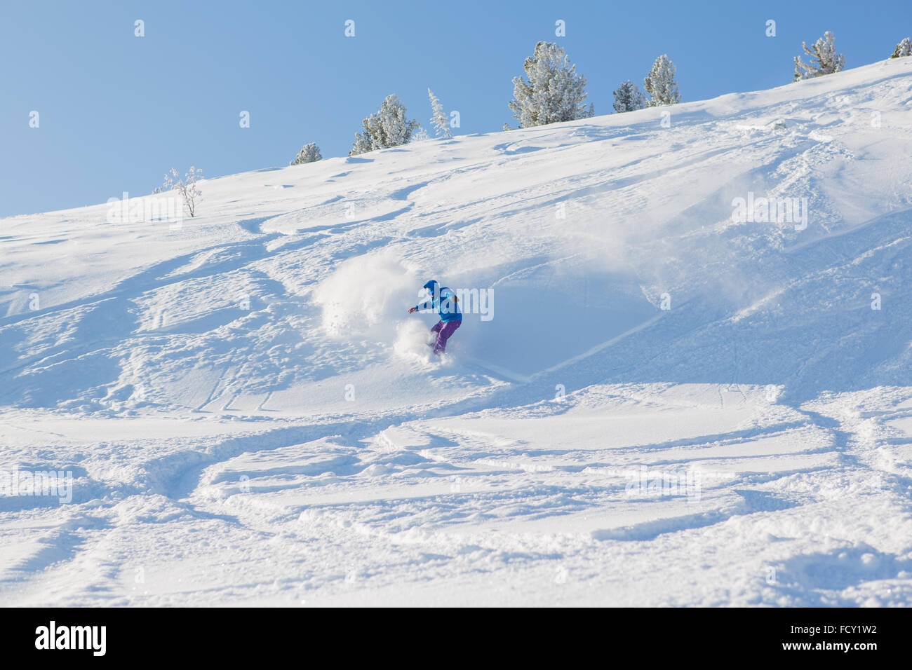 Snowboarder riding fresh snow Stock Photo - Alamy