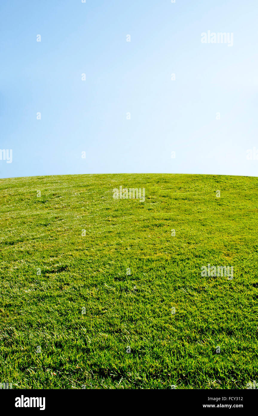 Sunlight on large field hi-res stock photography and images - Alamy