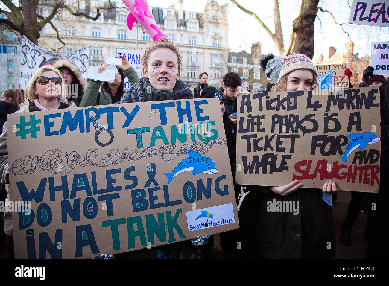 Anti dolphins killing hi-res stock photography and images - Alamy