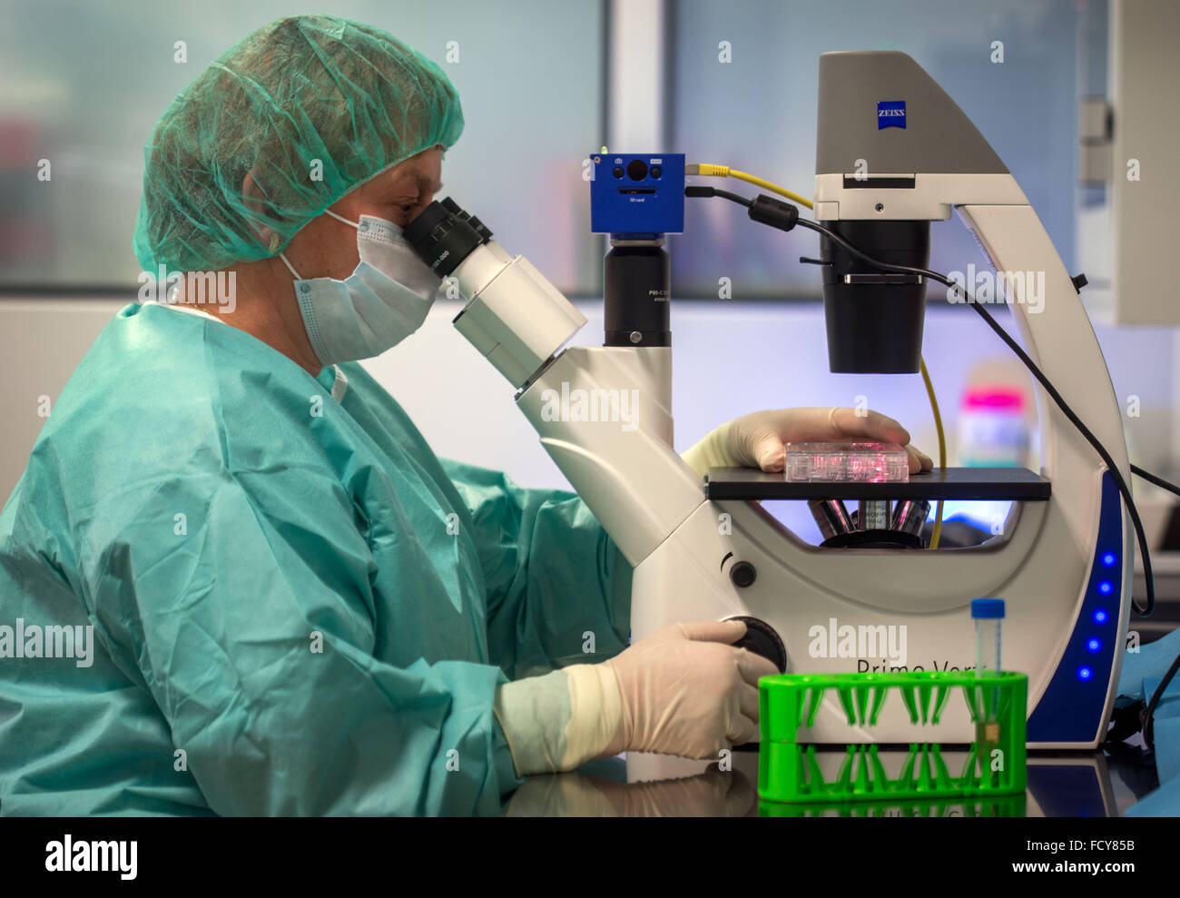 Carmen Hohmann uses a microscope to examine an eye cornea transplant in ...