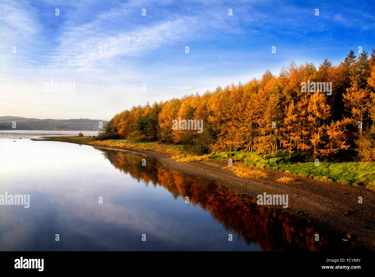 Blessington Lake, Wicklow Stock Photo - Alamy