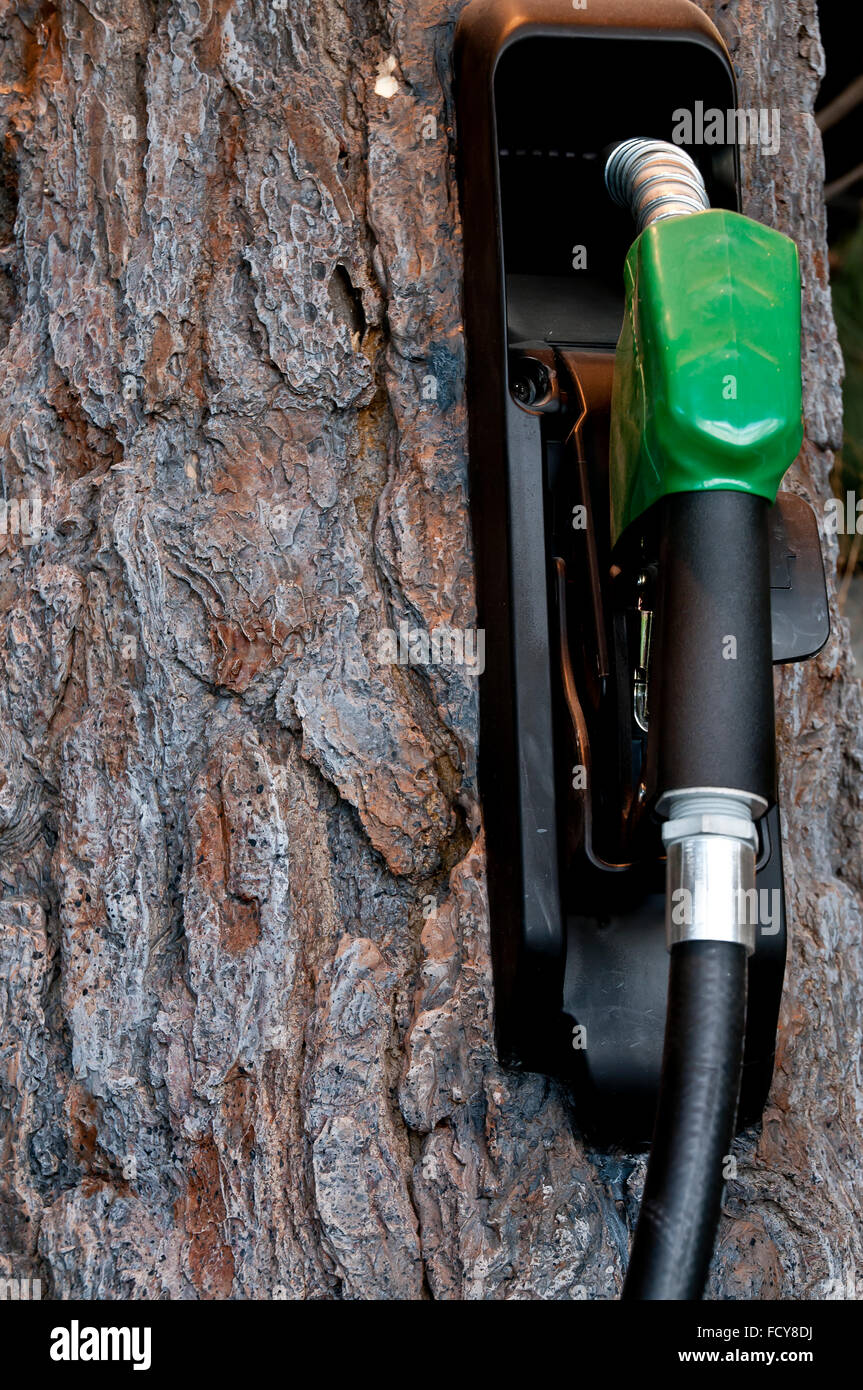 Nozzle in tree hi-res stock photography and images - Alamy