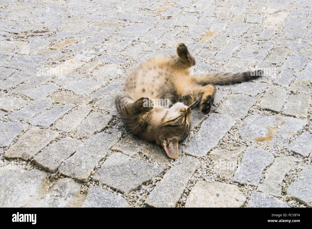 Block road hi-res stock photography and images - Alamy