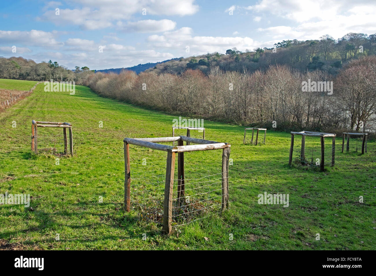 Frame planting hi-res stock photography and images - Alamy