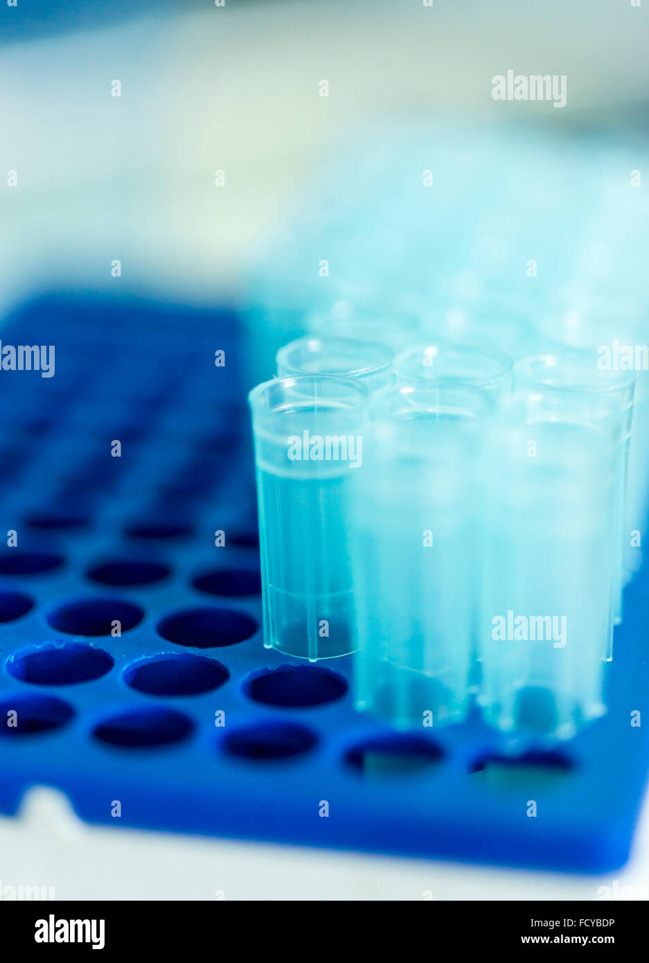 Close-up of test tubes in blue tray on table at laboratory Stock Photo ...