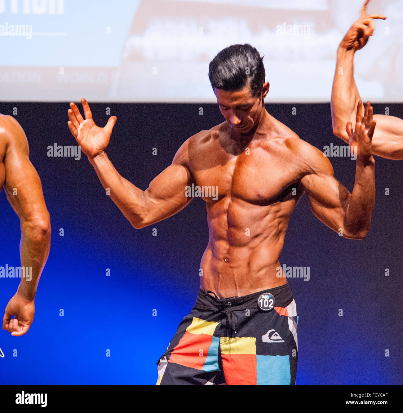 MAASTRICHT, THE NETHERLANDS - OCTOBER 25, 2015: Male physique model Ali ...
