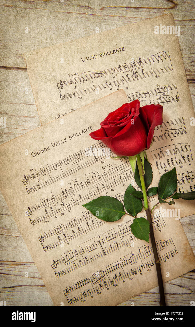 Red rose flower and music notes sheet. Vintage grunge texture Stock ...