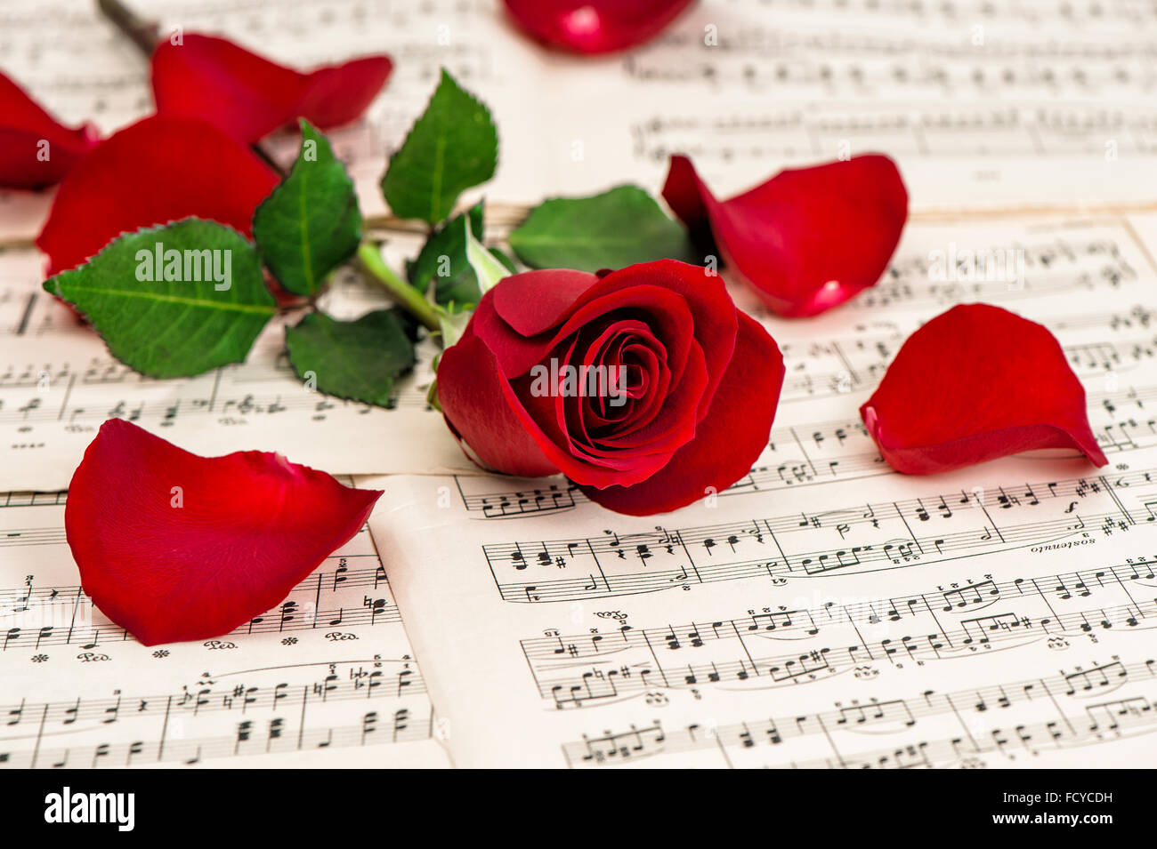 Music notes sheet hi-res stock photography and images - Alamy