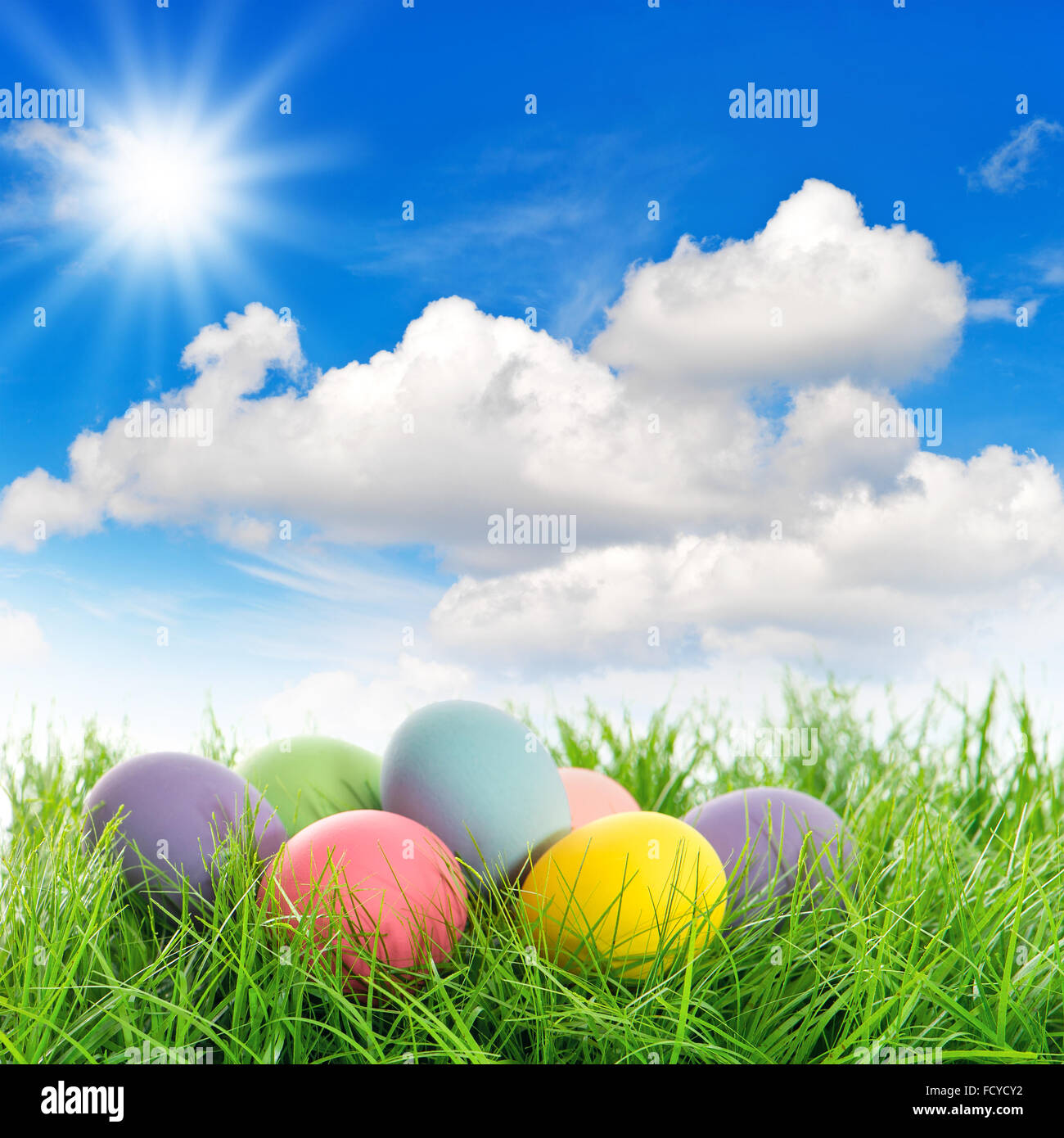 Easter eggs in green grass. Sunny blue sky. Spring landscape Stock ...