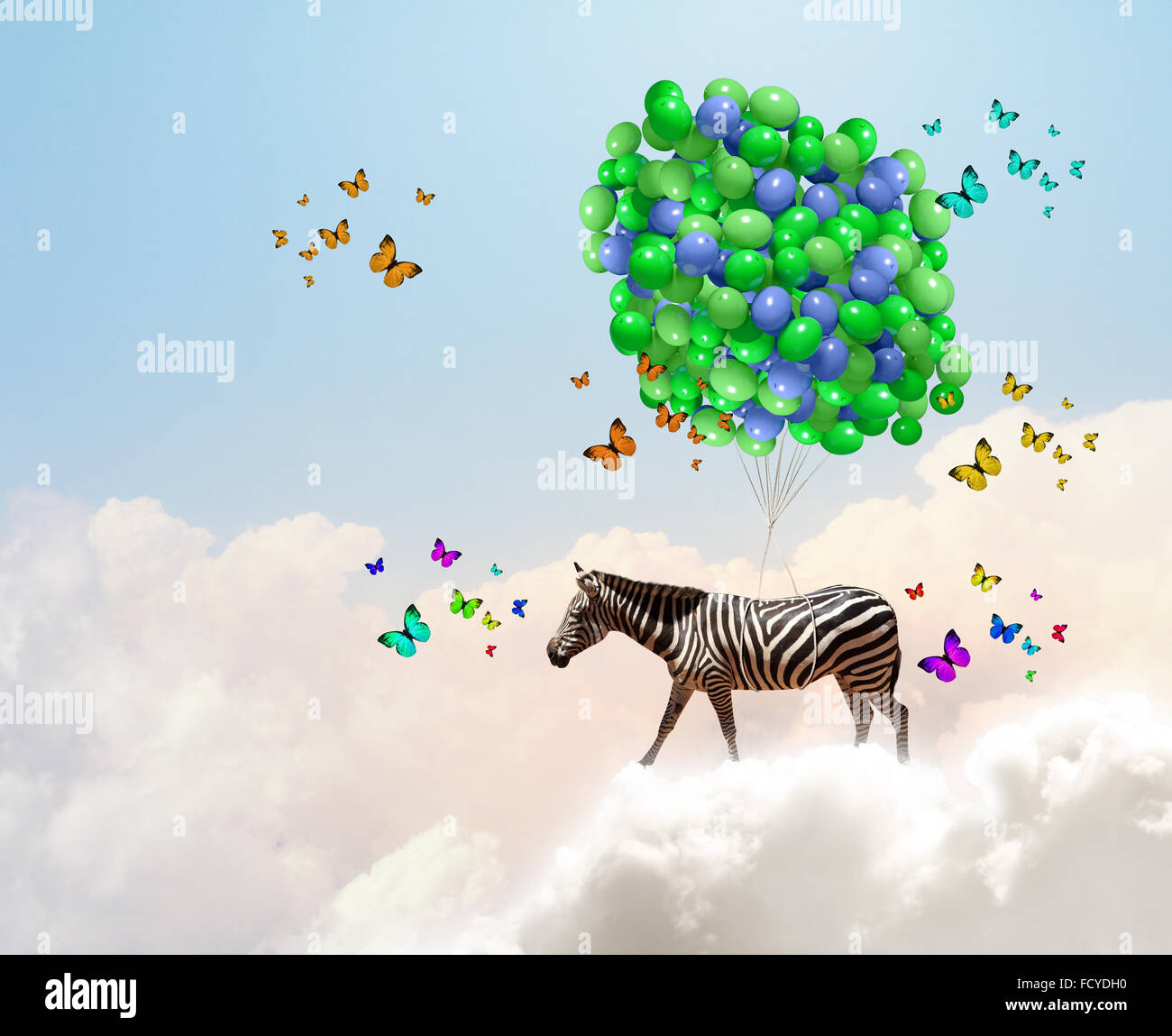 Fantasy image of zebra flying in sky on bunch of colorful balloons ...