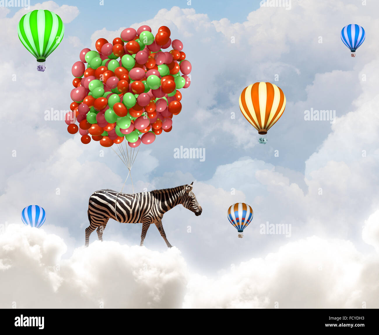 Fantasy image of zebra flying in sky on bunch of colorful balloons ...