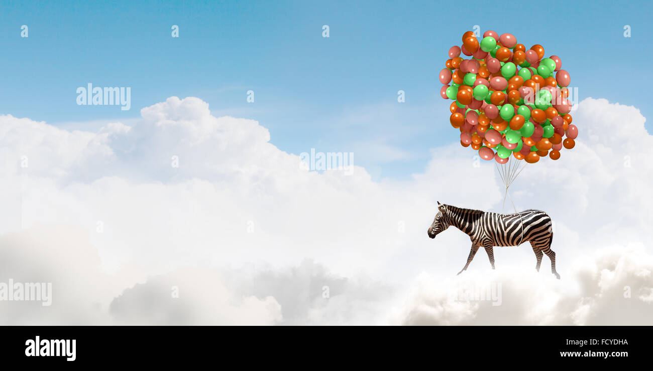 Fantasy image of zebra flying in sky on bunch of colorful balloons ...