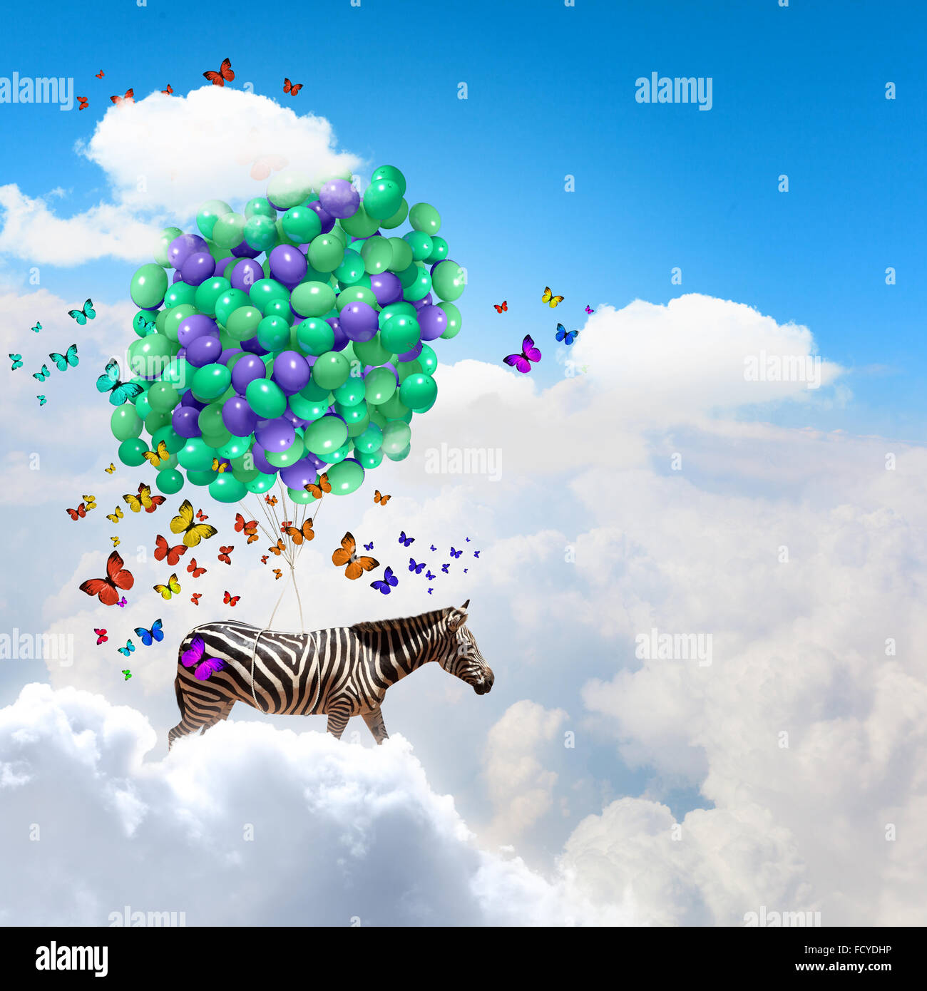 Fantasy image of zebra flying in sky on bunch of colorful balloons ...