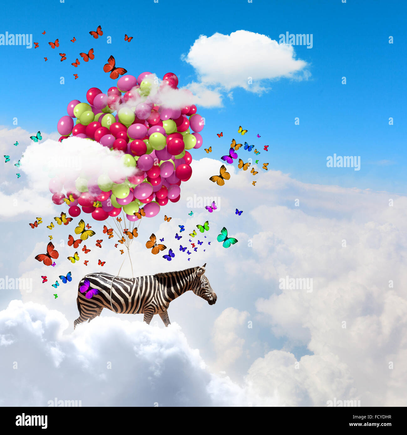 Fantasy image of zebra flying in sky on bunch of colorful balloons ...