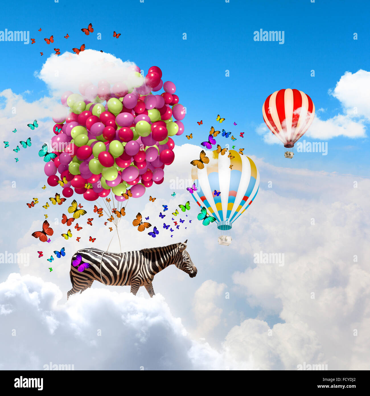 Fantasy image of zebra flying in sky on bunch of colorful balloons ...