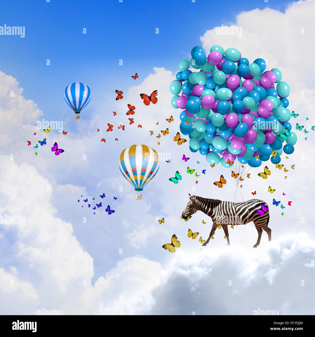 Fantasy image of zebra flying in sky on bunch of colorful balloons ...