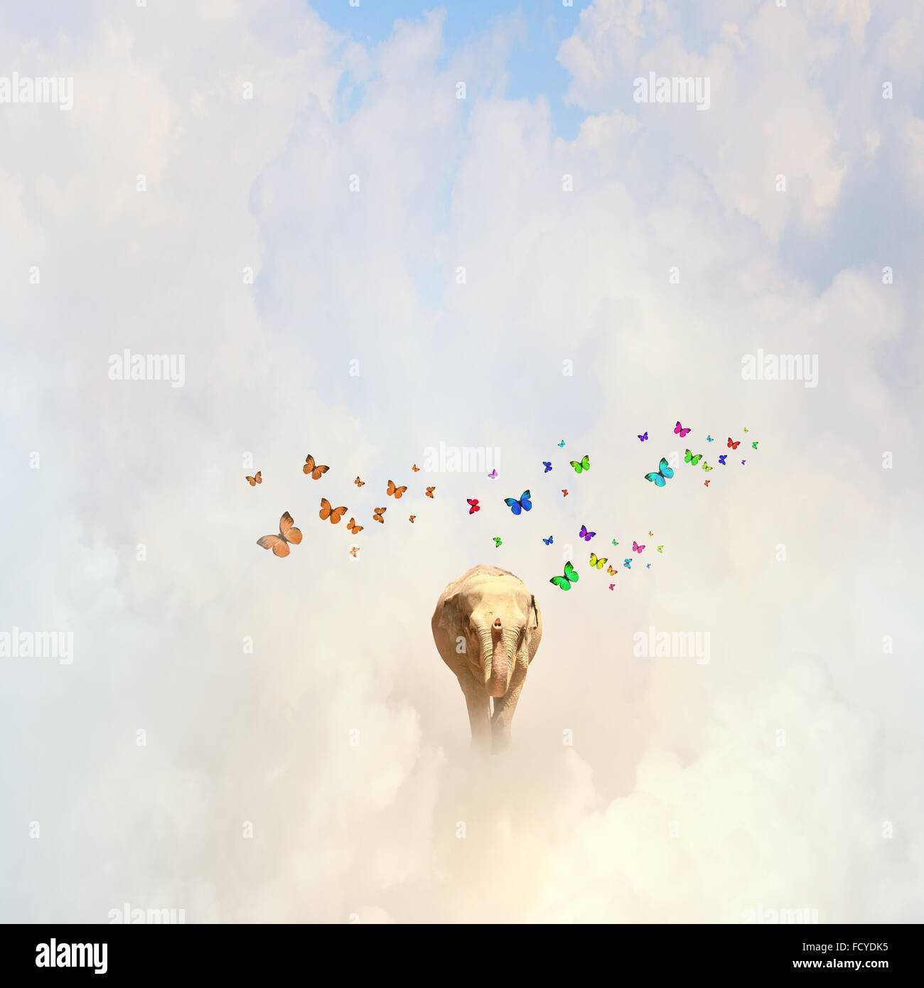 Elephant flying in sky among colorful butterflies Stock Photo - Alamy