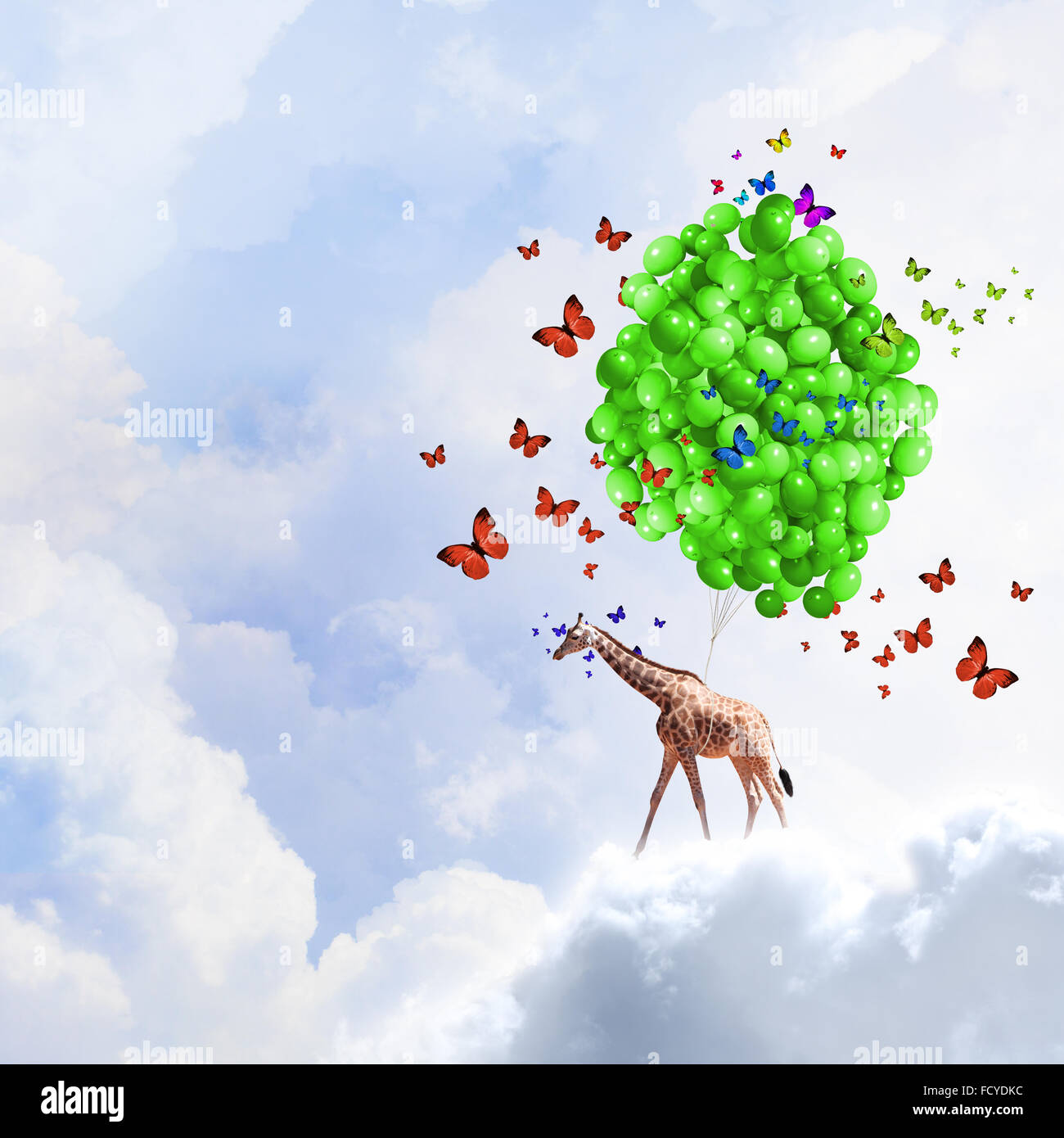 Giraffe flying high in sky on bunch of colorful balloons Stock Photo ...