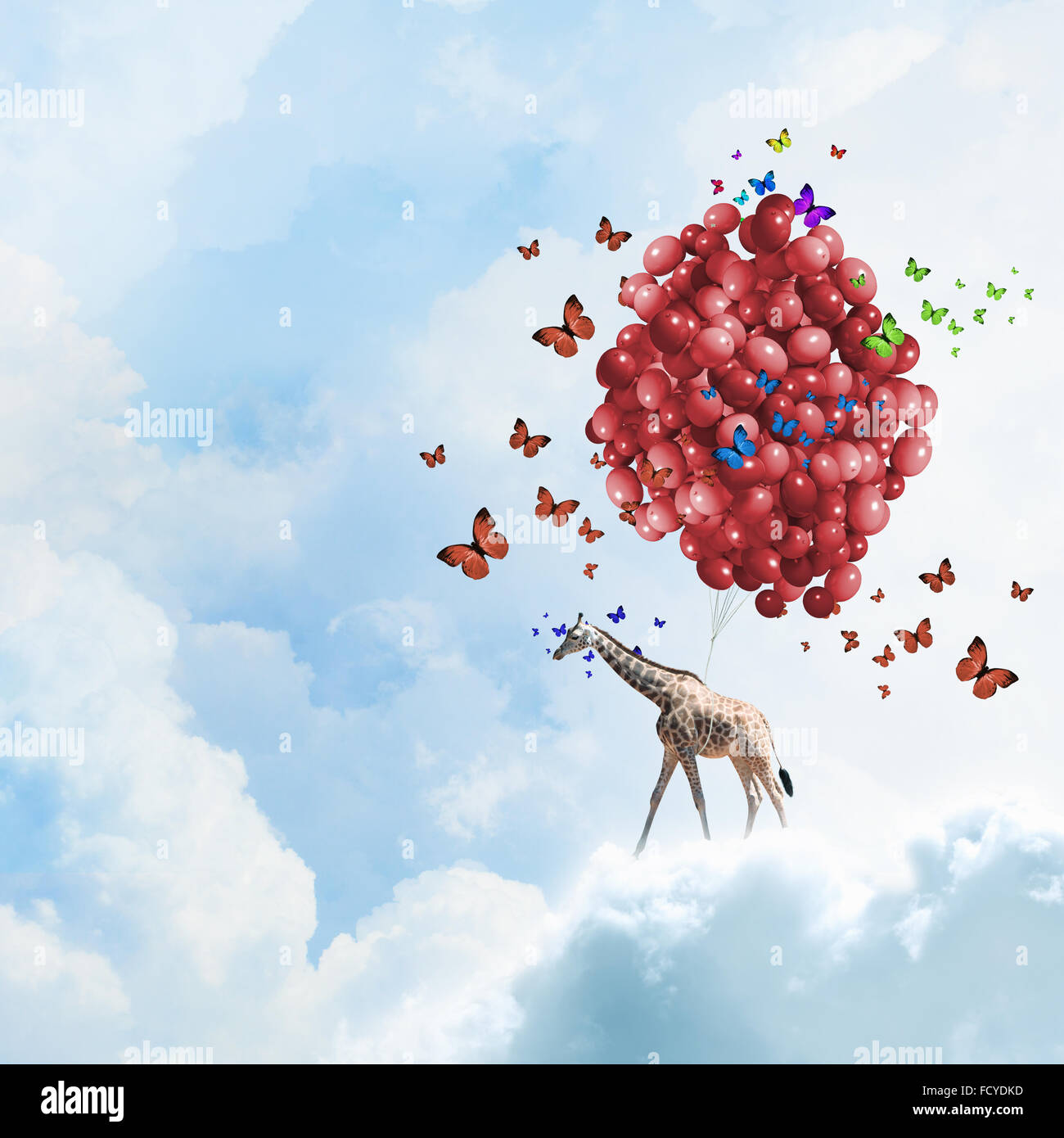 Giraffe flying high in sky on bunch of colorful balloons Stock Photo ...