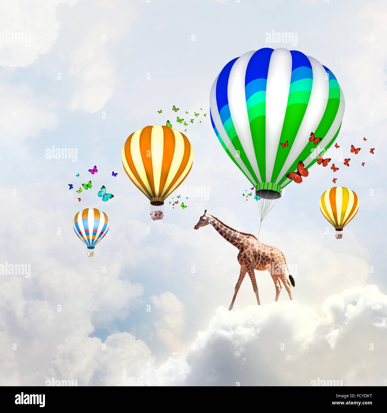 Giraffe flying high in hi-res stock photography and images - Alamy