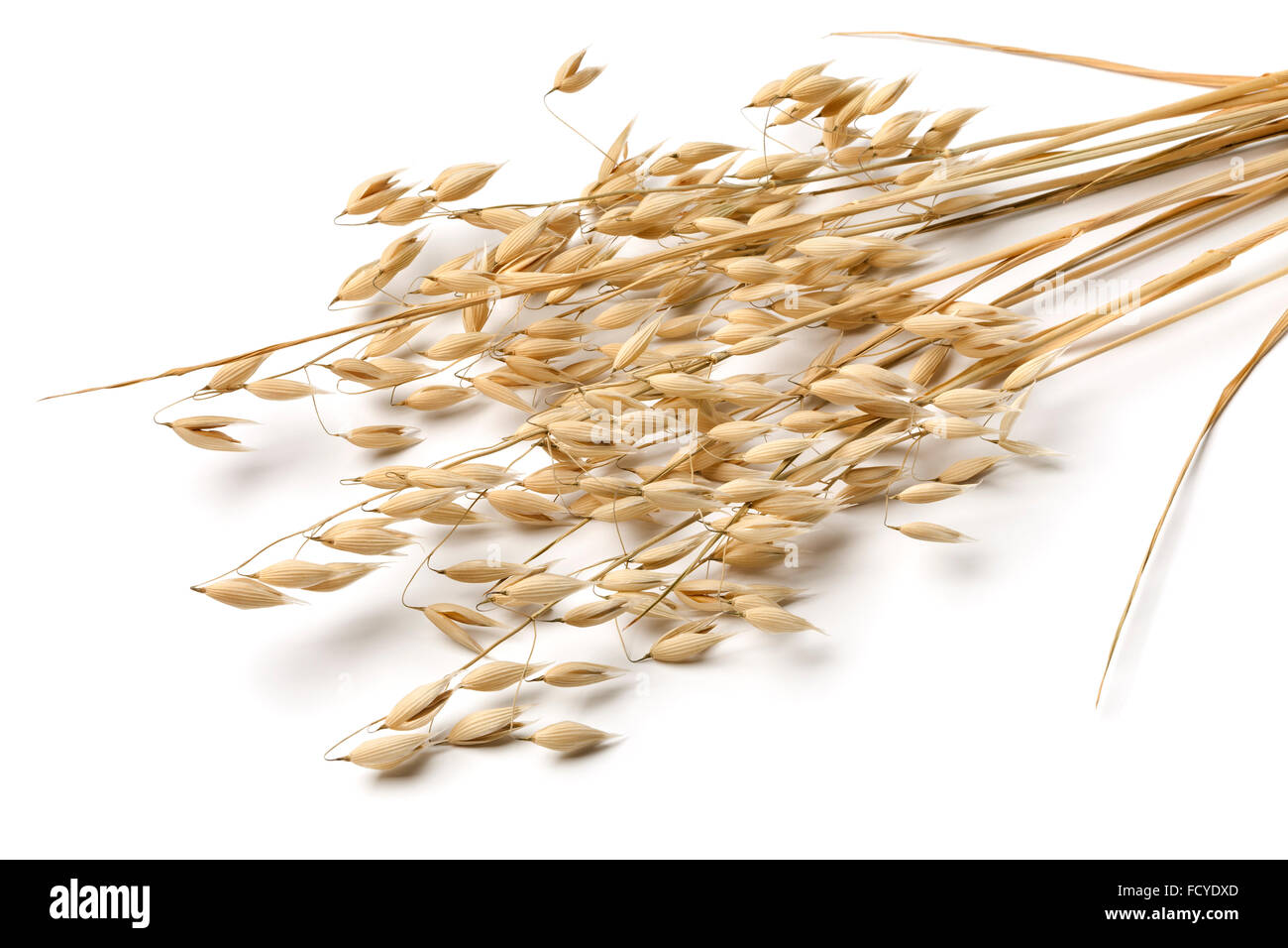 Dried oat ears and seeds on white background Stock Photo - Alamy