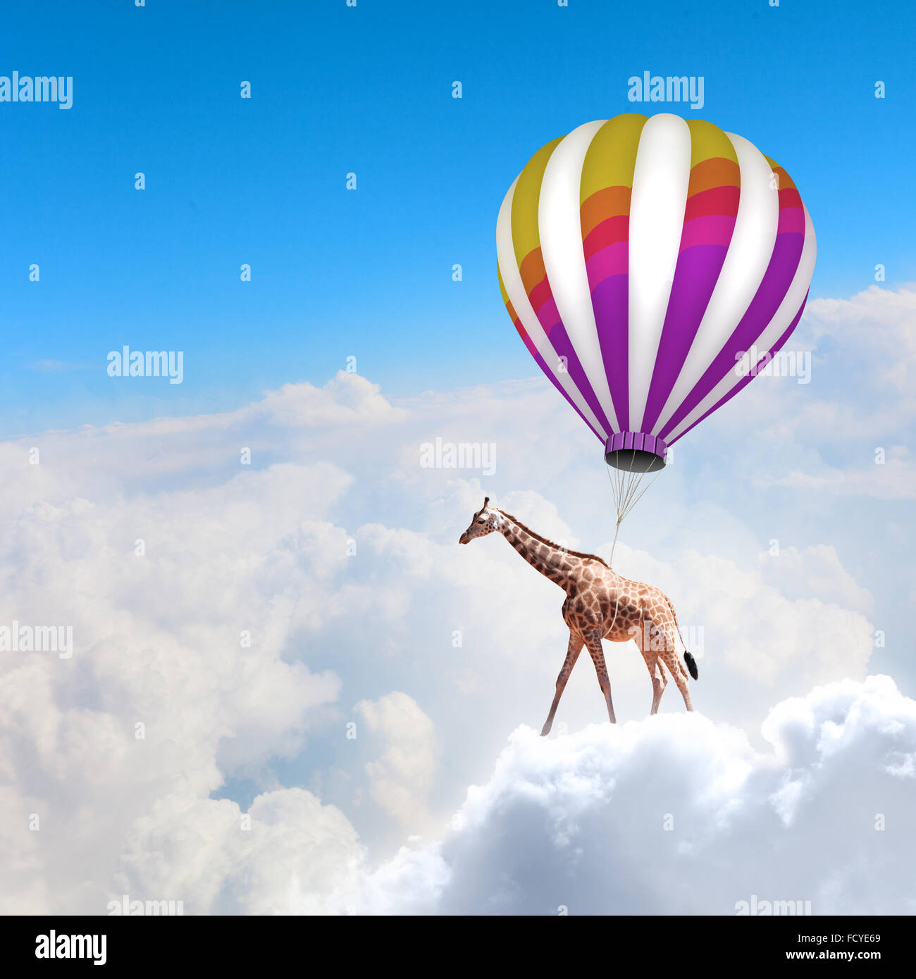 Giraffe flying high in sky on colorful aerostat Stock Photo - Alamy