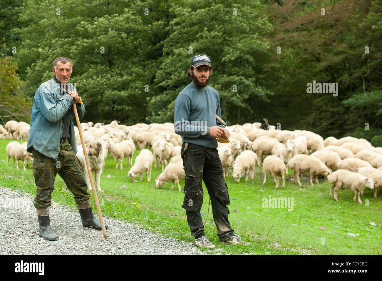 Hirte mit schafherde hi-res stock photography and images - Alamy