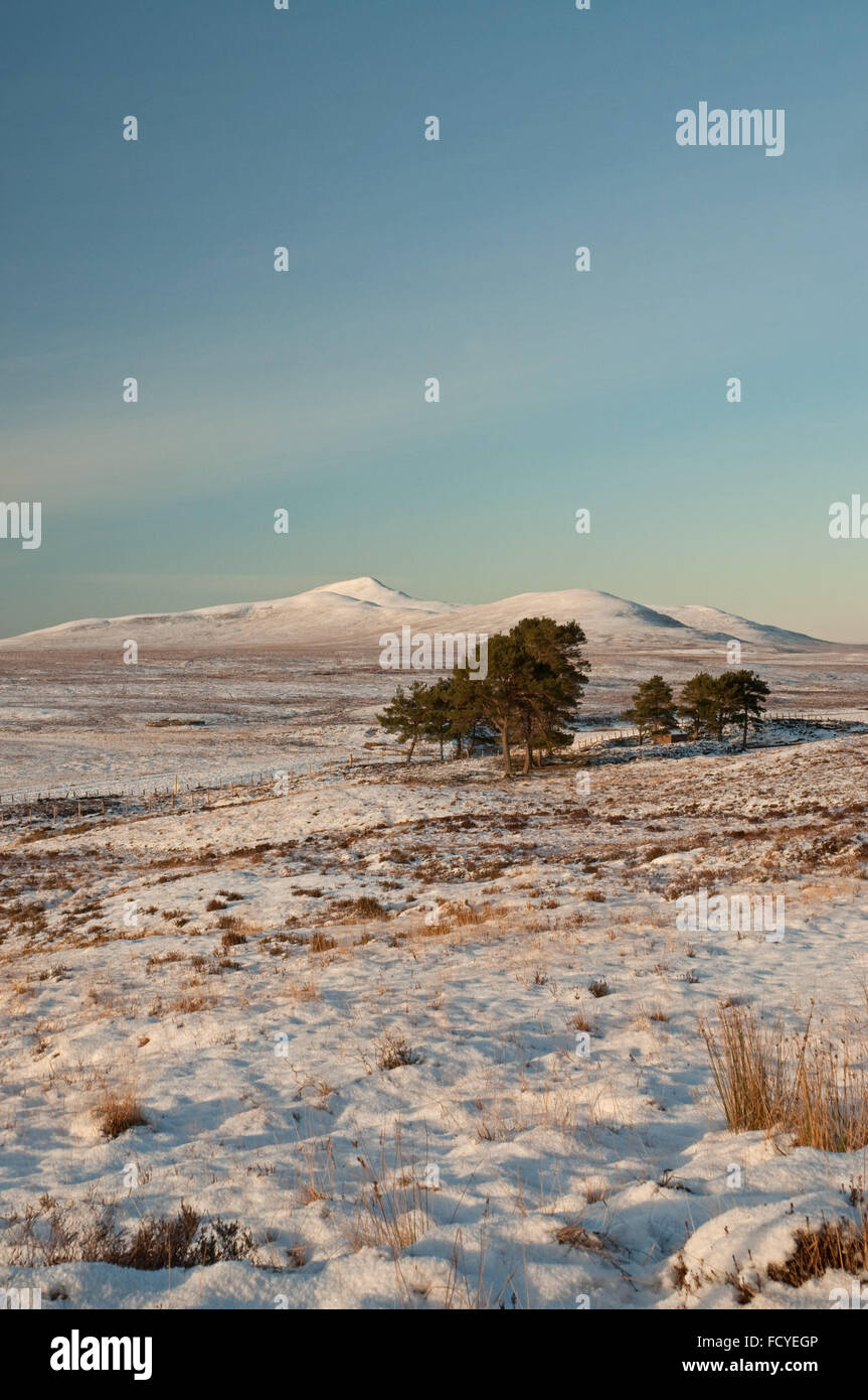 Kinbrace scotland hi-res stock photography and images - Alamy