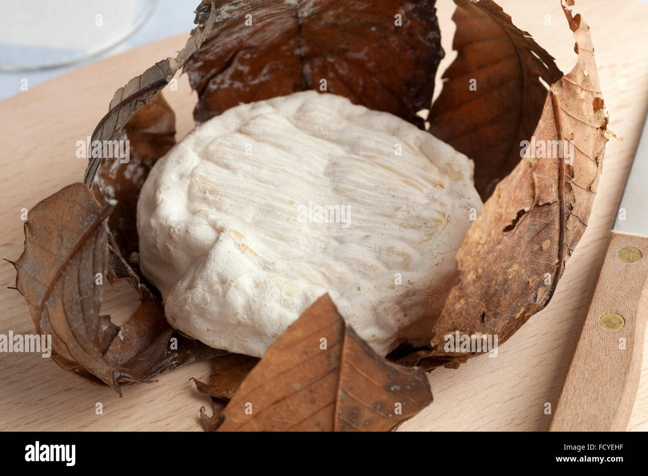 French Banon cheese in chestnut leaves Stock Photo - Alamy
