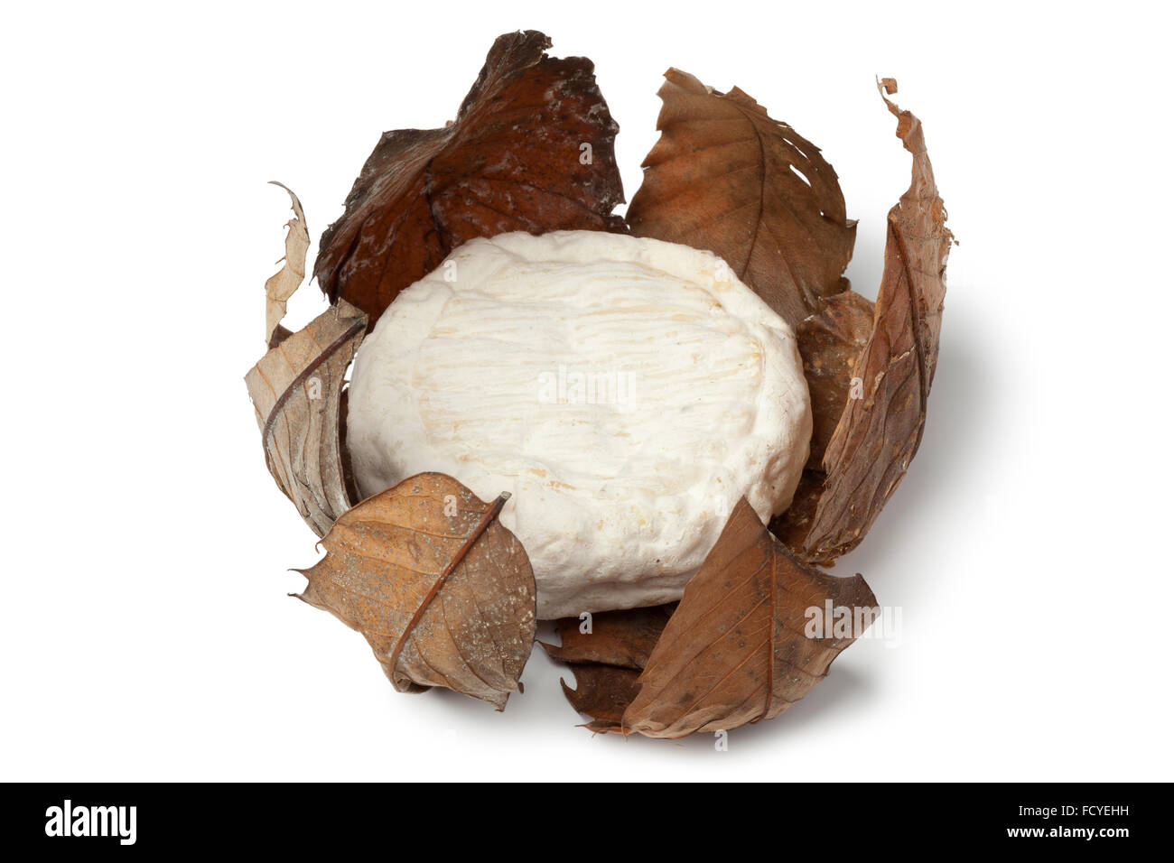 French Banon cheese in chestnut leaves on white background Stock Photo ...