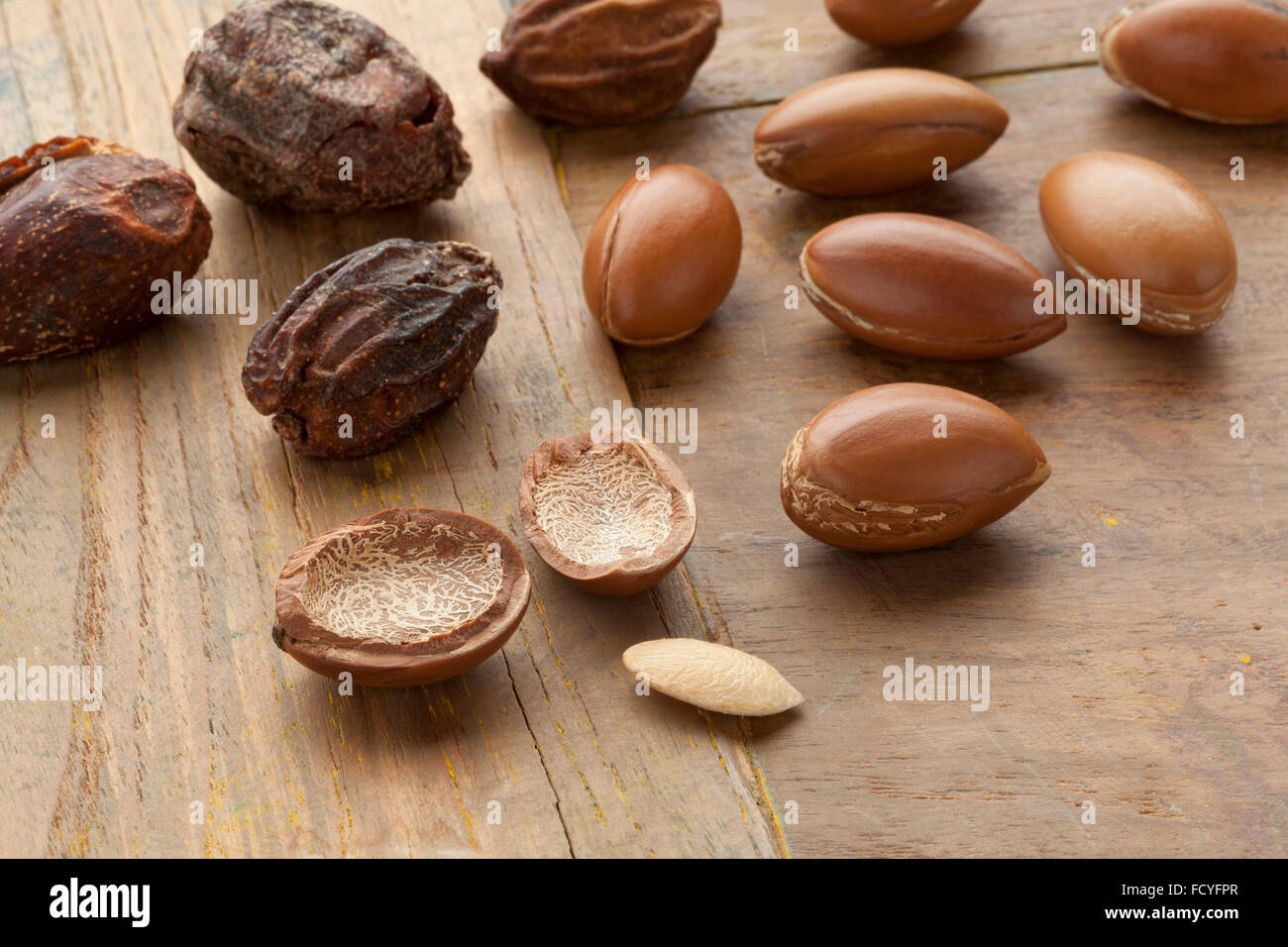 Moroccan argan nuts and nutshells Stock Photo - Alamy